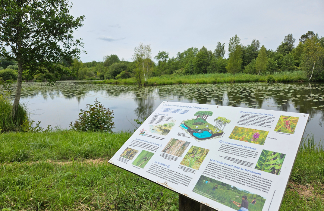 Tour du marais de Picquigny - Amiens Tourisme