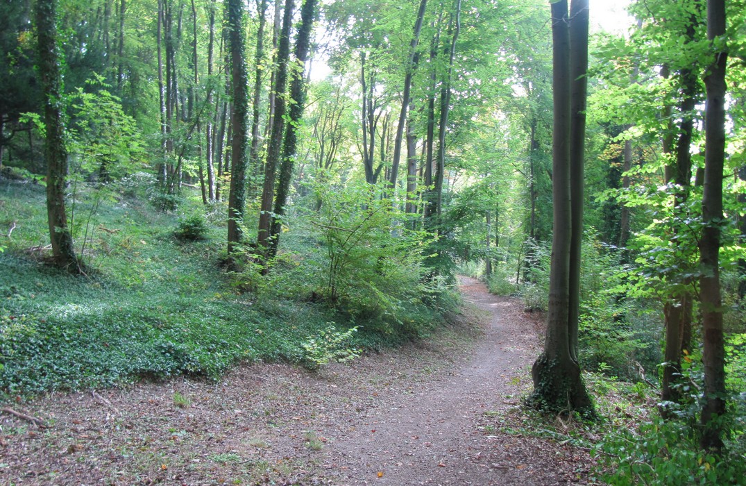 Les Hauts de Poix - Amiens Tourisme