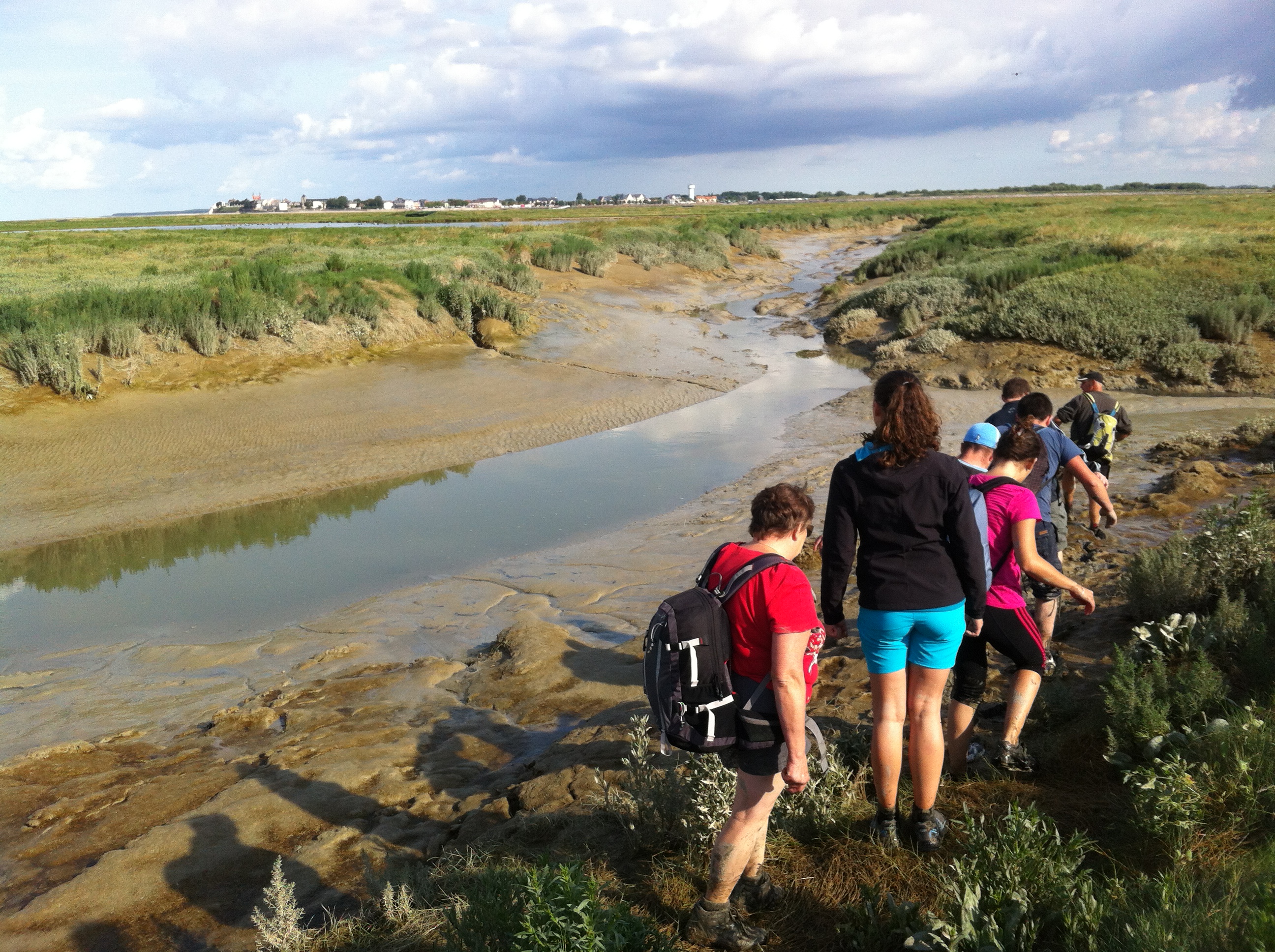 Maison de la Baie de Somme - Activité - LANCHERES - Somme Tourisme