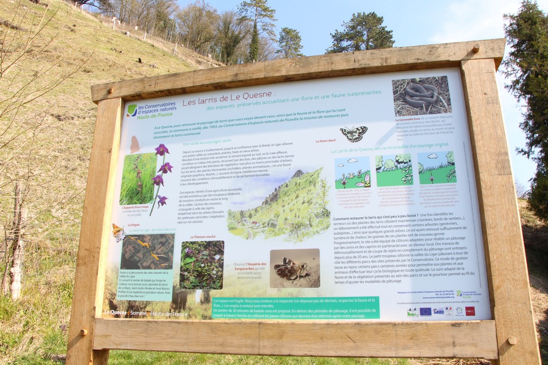 Le larris de Le Quesne et le Mont d'Arguël - Amiens Tourisme