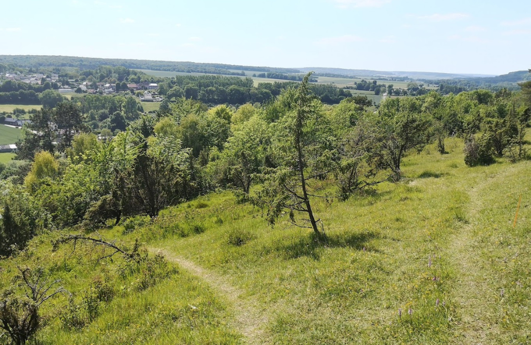 Les larris de Saint-Aubin-Rivière - Amiens Tourisme