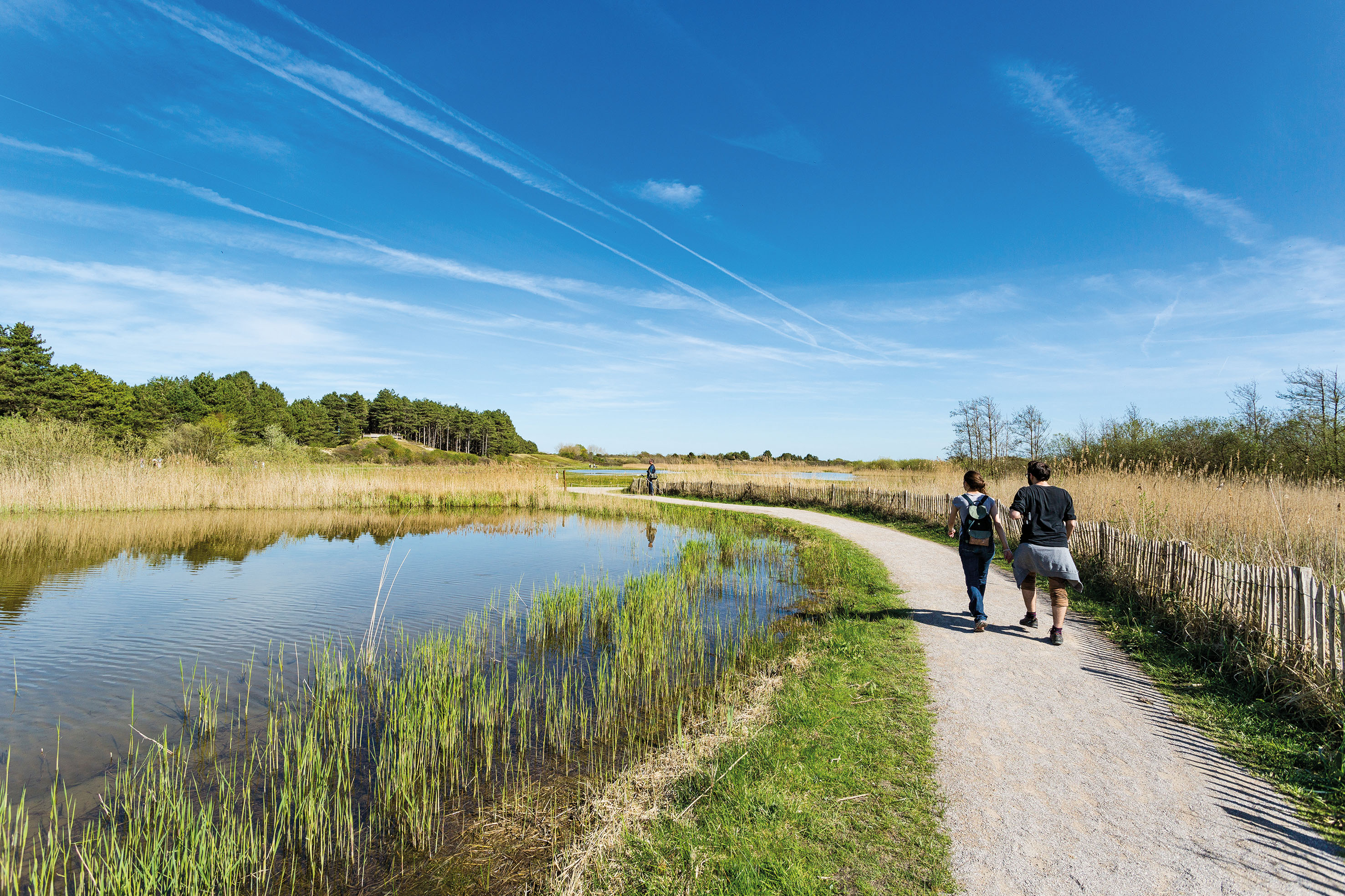 Parc du Marquenterre - Activité - SAINT-QUENTIN-EN-TOURMONT - Somme ...