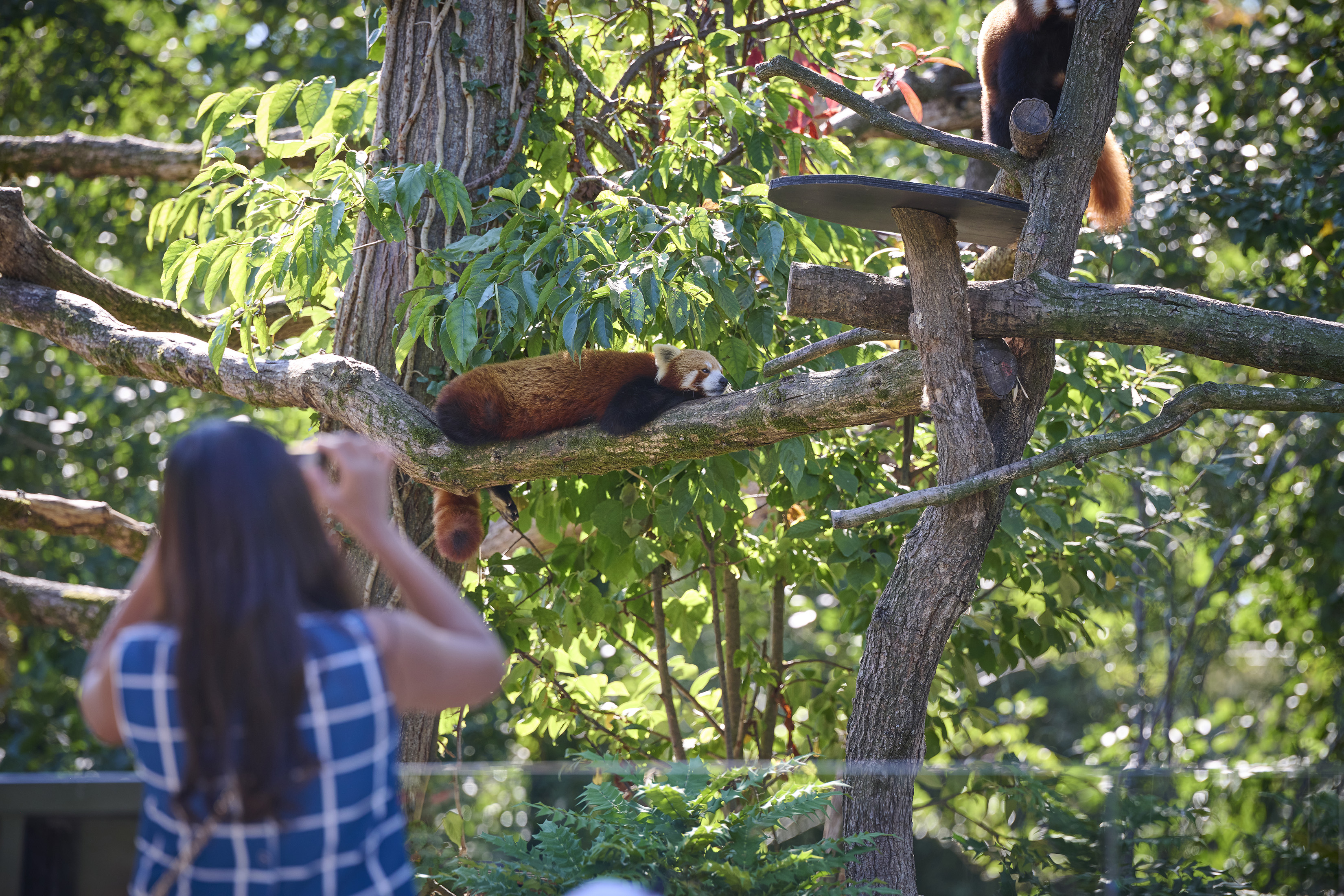 Zoo d'Amiens - Activity - AMIENS - Somme Tourisme